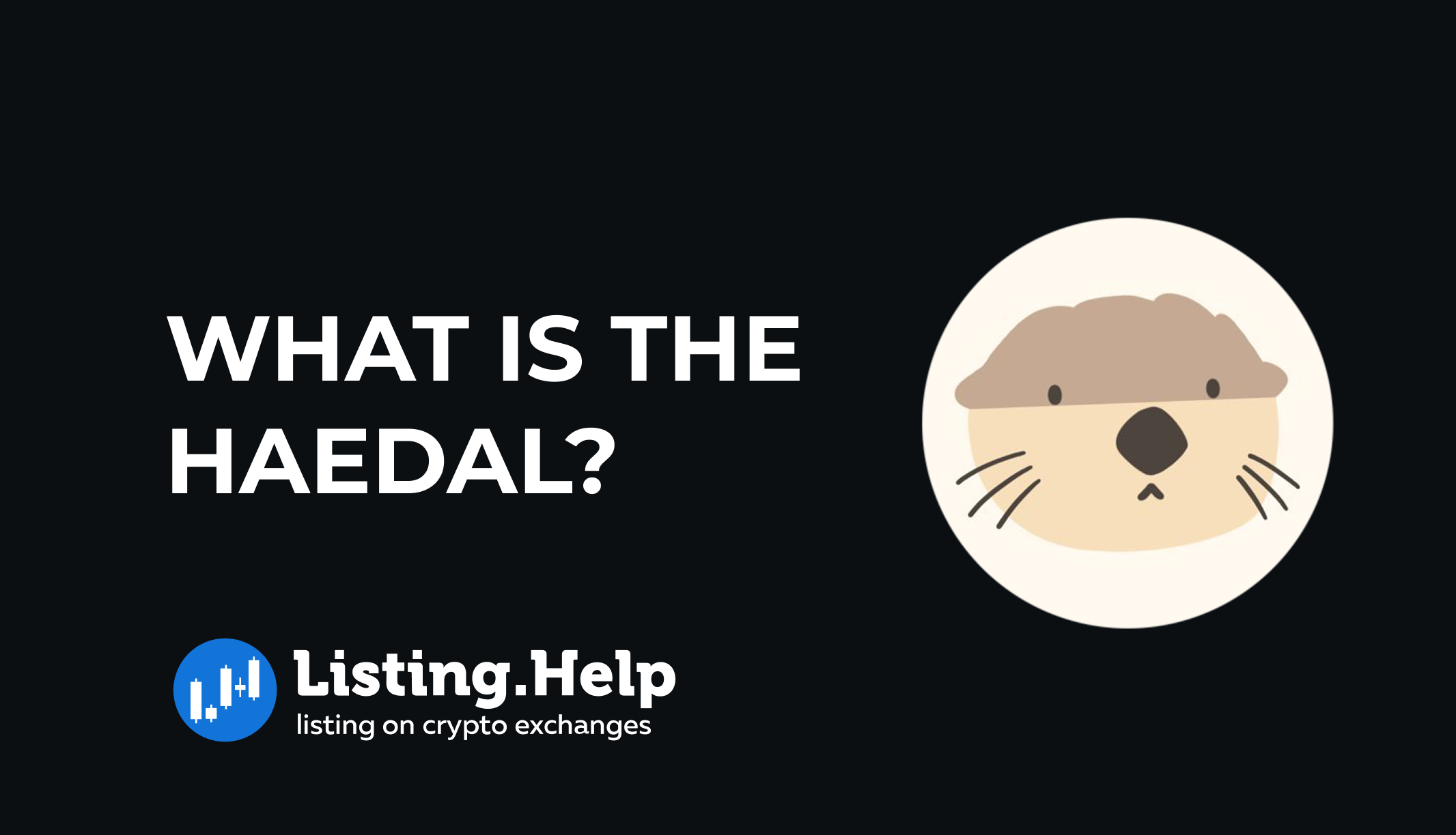 What is the Haedal Protocol (HAEDAL)? - Listing.Help | #1 Exchange ...